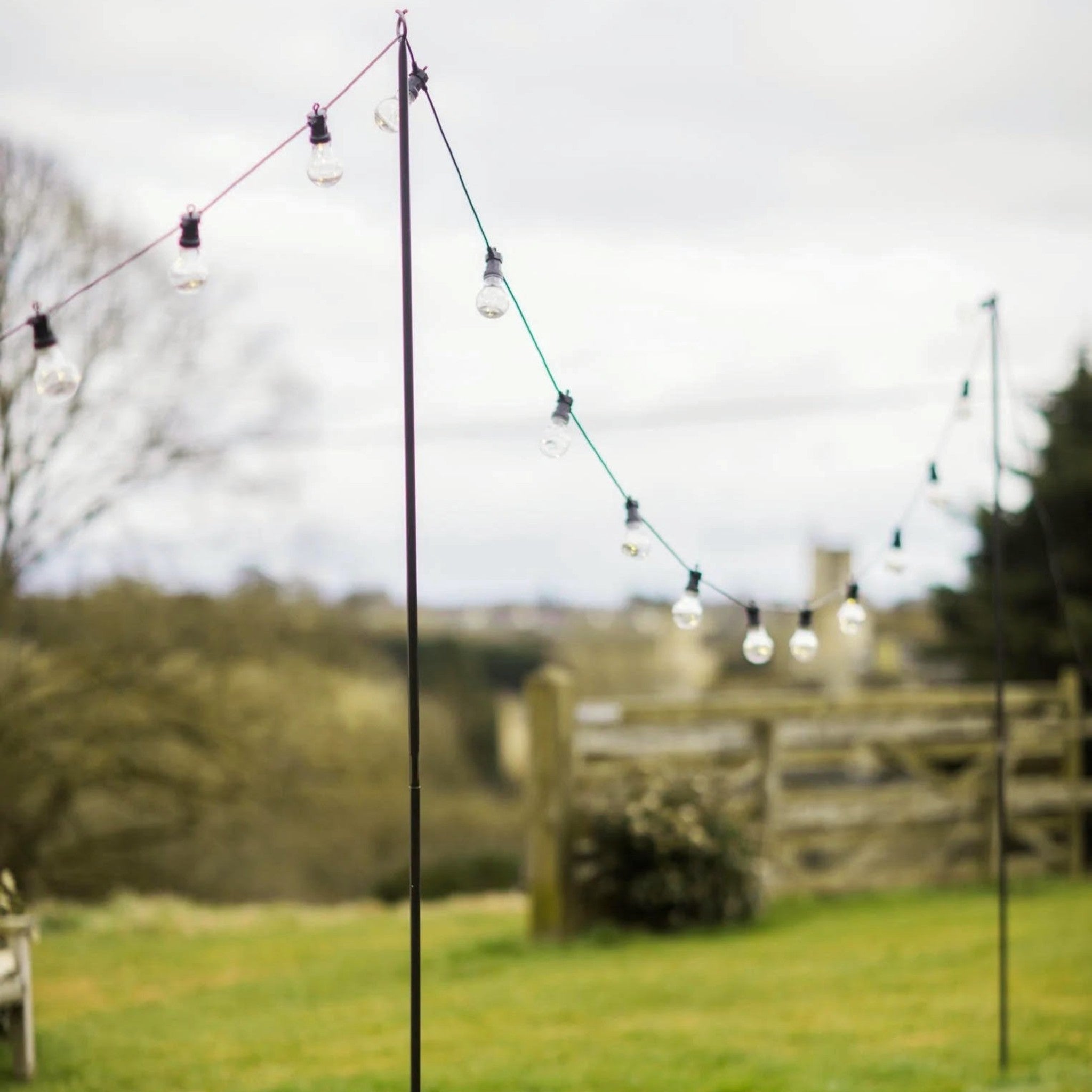 Festoon pole│ Hire │ The Island Collection – Island Collection Waiheke